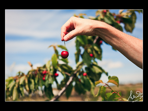 The dangers of cherry-picking facts, part 2 - Oklahoma Policy Institute